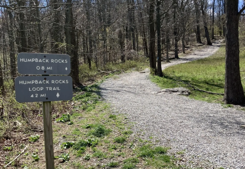 Most Romantic Trail in Virginia: Hike To Humpback Rocks on the Blue ...