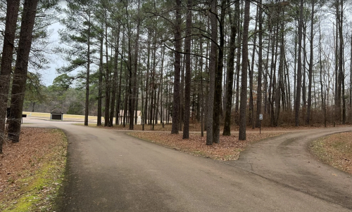 Romantic Hikes in Mississippi: Explore Little Mountain Trail in Jeff ...