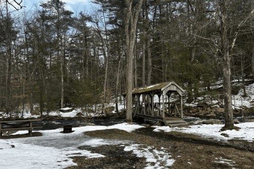 The Freetown State Forest In Massachusetts Is Haunted