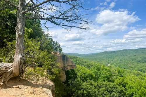 The Ultimate Arkansas Waterfalls Road Trip You Need To Take