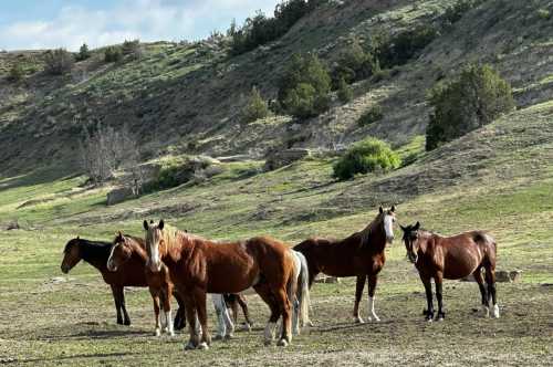 Jud, North Dakota Is An Incredibly Unique and Artsy Small Town