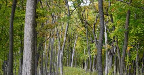 9 Spots in Iowa We’ve Always Known About (But Can’t Stop Visiting)