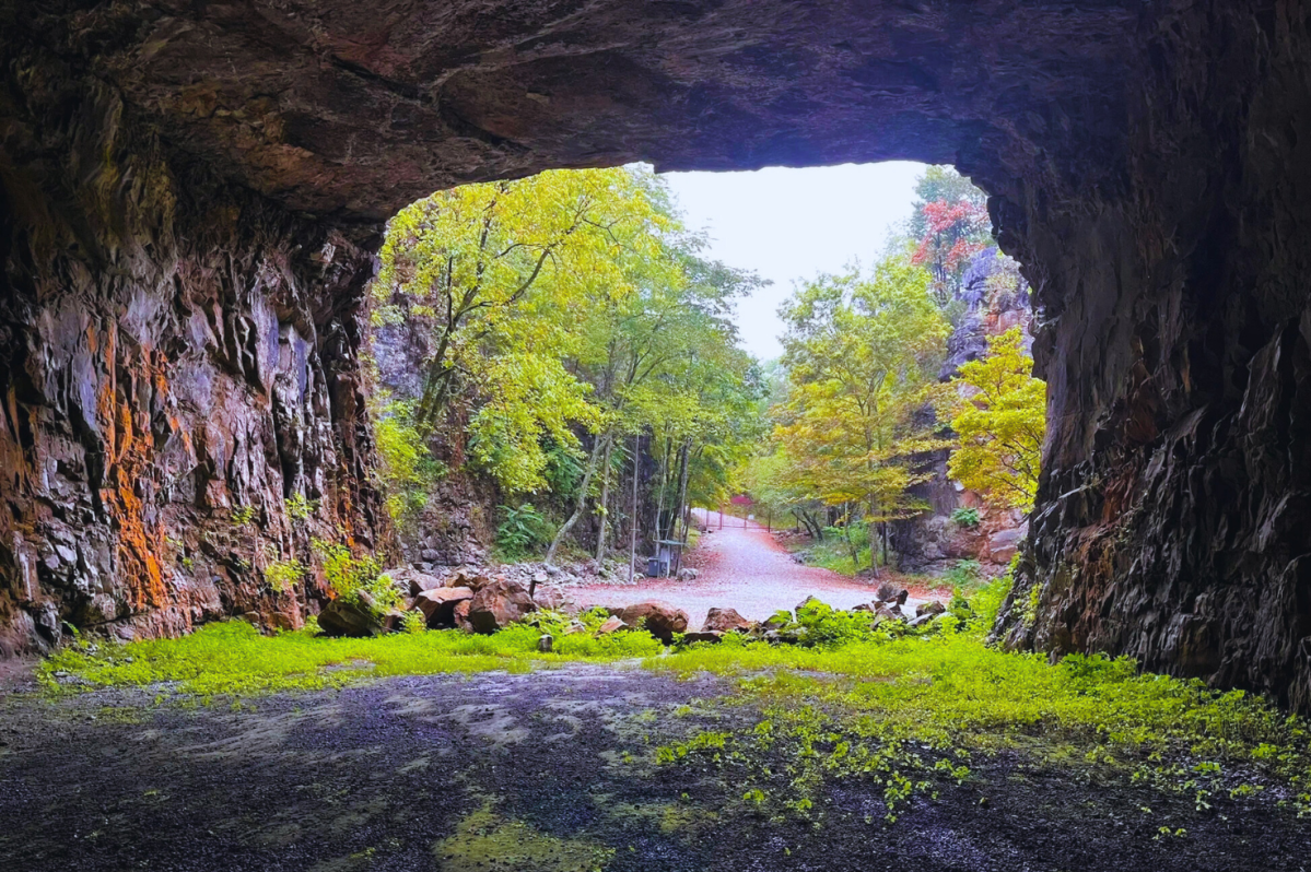 Monte Sano Preserve: The Best Spring Alabama Activity