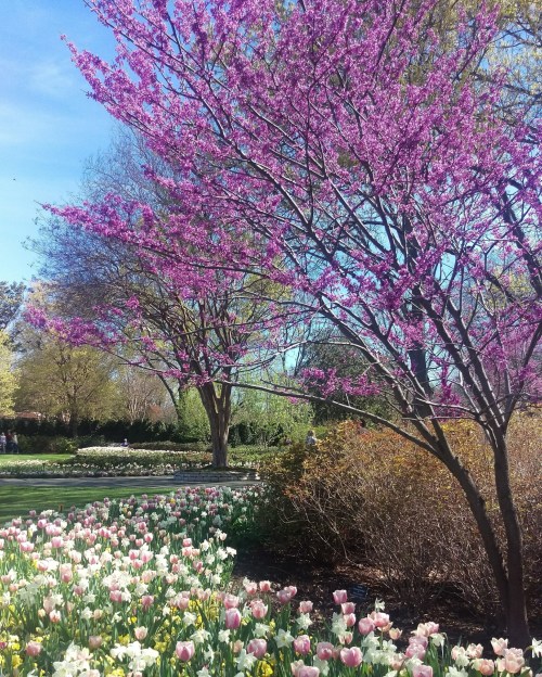 Things to do in Nashville Tennessee on Spring Break