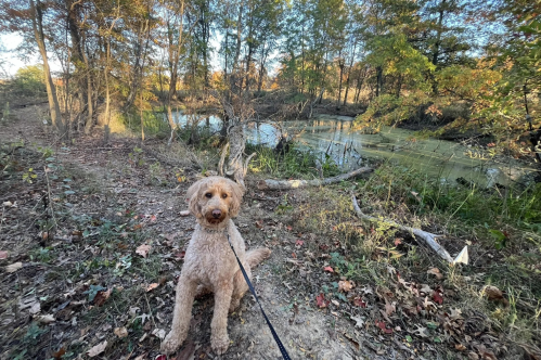 The 6 Best Ohio Quarry Lakes: Swimming Quarry Near Me