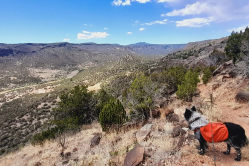 11 Of The Most Interesting Historical New Mexico Landmarks