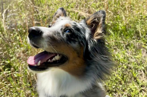 Fun Things To Do In Delta, Alabama