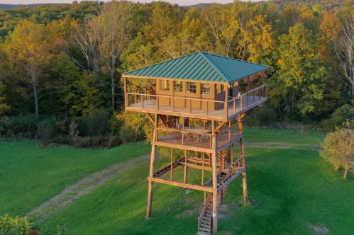 The Haunted Parallel Forest in Oklahoma Is Truly, Deeply Creepy