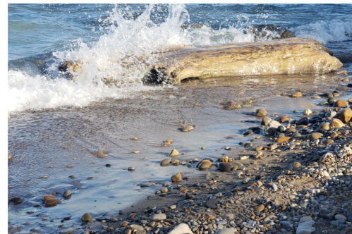 The Most Scenic Road Trip Along The Michigan East Coast