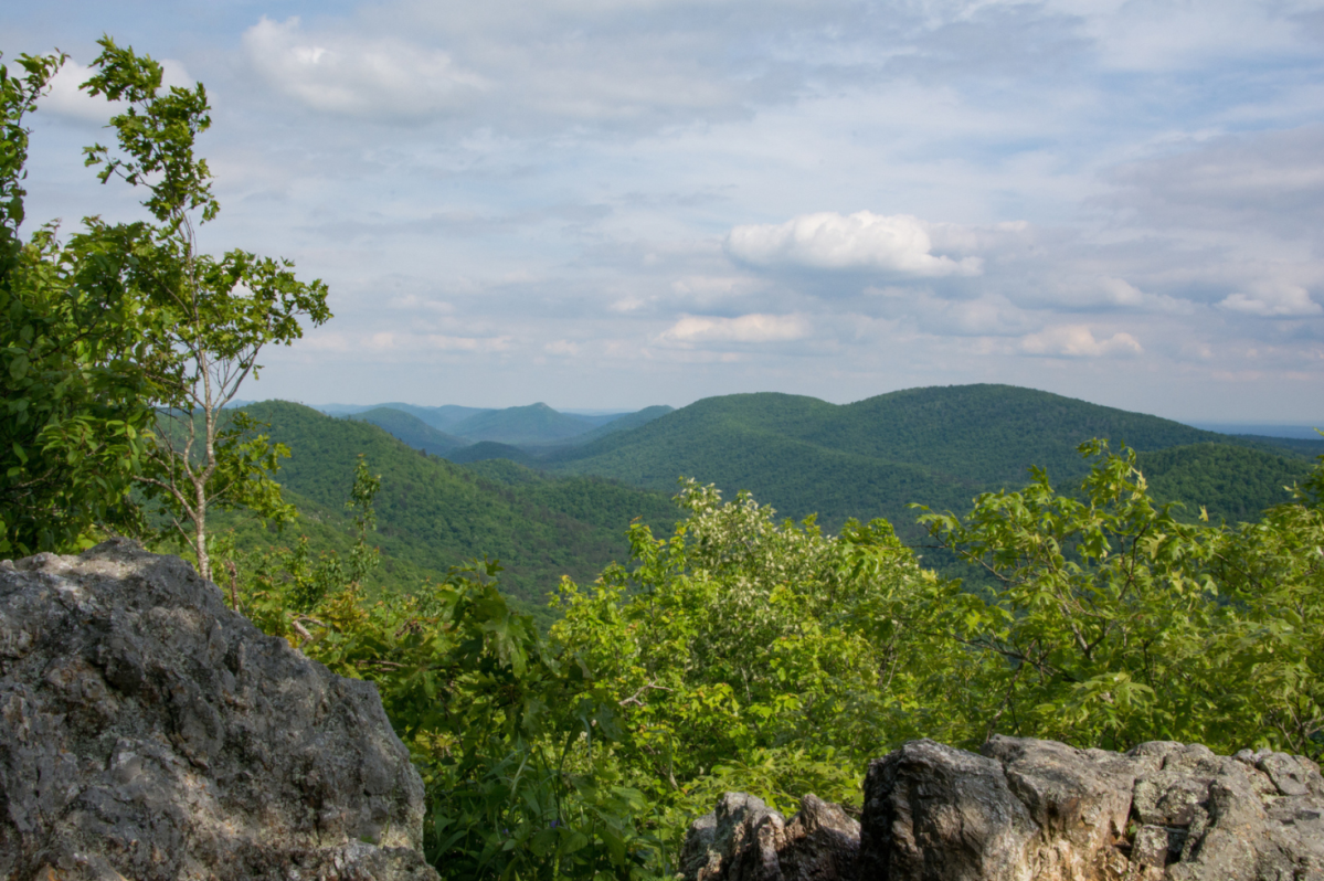 Best National Forest in Arkansas: Ouachita National Forest