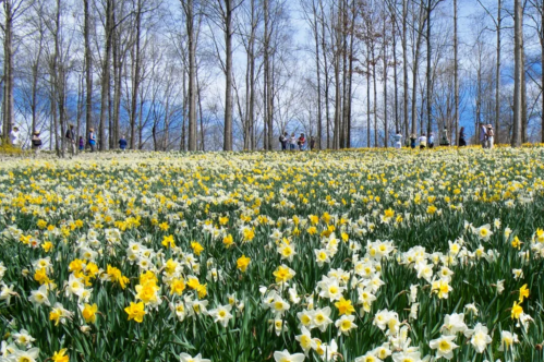 Keller’s Flea Market In Georgia: Savannah Flea Market