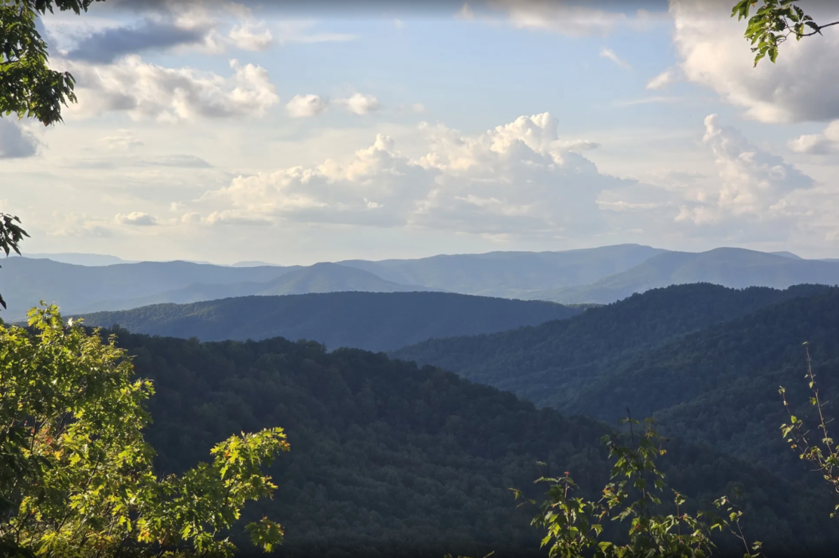 Old-Growth Forest in Virginia: Explore North Creek Conservation Area ...