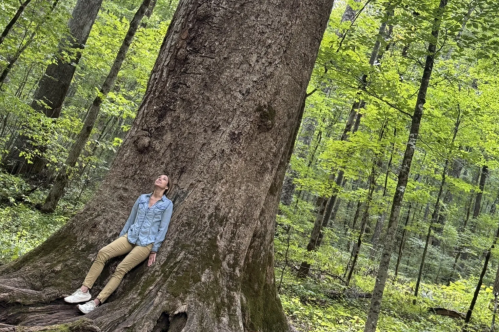 Things To Do In Currie, NC: Moores Creek National Battlefield