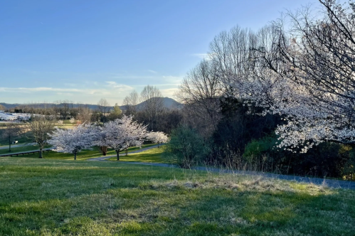 The 12 Best Things To Do In Virginia In Spring