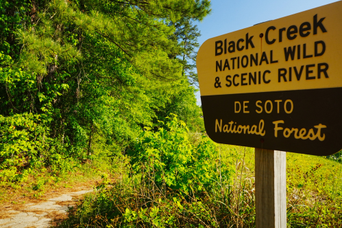 The 15 Best State Parks In Mississippi To Visit ASAP