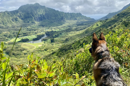 Here Are The Oldest Photos Of Hawaii And They Are Incredible