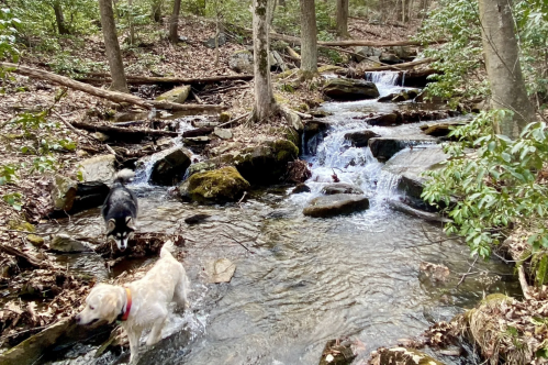 Flintstone, Maryland: Remote Towns To Visit In Maryland