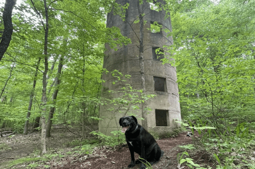 The 17 Best State Parks In Kentucky To Visit ASAP