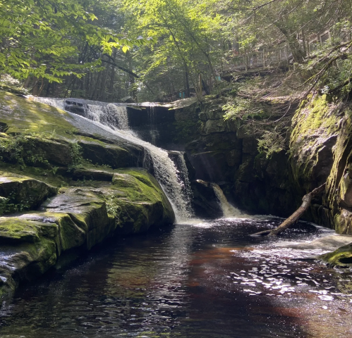 8 Awesome Swimming Holes In Connecticut