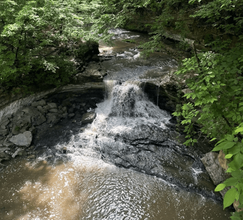 Best Waterfalls in Indiana: 12 Local Favorites to Explore