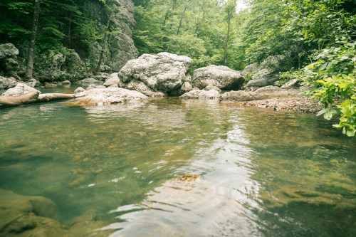 Best National Forest in Arkansas: Ouachita National Forest