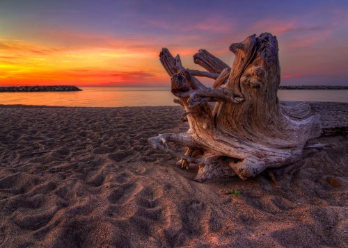 One of the Best Sea Glass Beaches Is in Pennsylvania