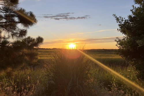 Newark's Reservoir Park Is The Spot To Go For A Delaware Sunset