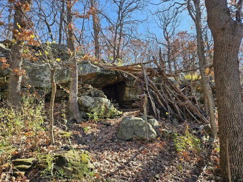 This Is the Most Underrated Old-Growth State Forest in Kansas