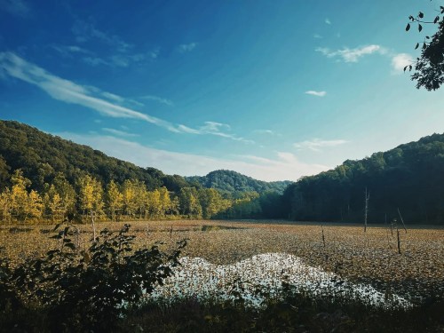 This Is Ohio’s Most Astonishing State Forest