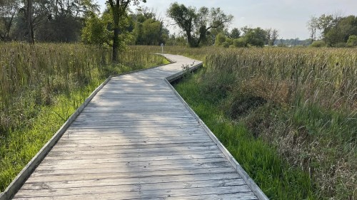 If Money Was No Object Here's Where I Would Go for Spring Break in Indiana