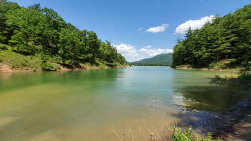 Clearest Lake in Virginia: Lake Moomaw in Covington