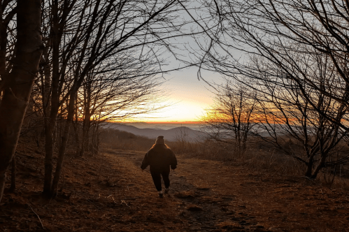 Visit North Carolina's Only Amish Community When You Go To Union Grove