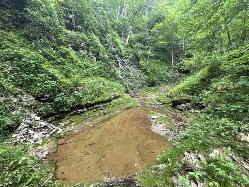 This Is Iowa’s Most Breathtaking State Forest