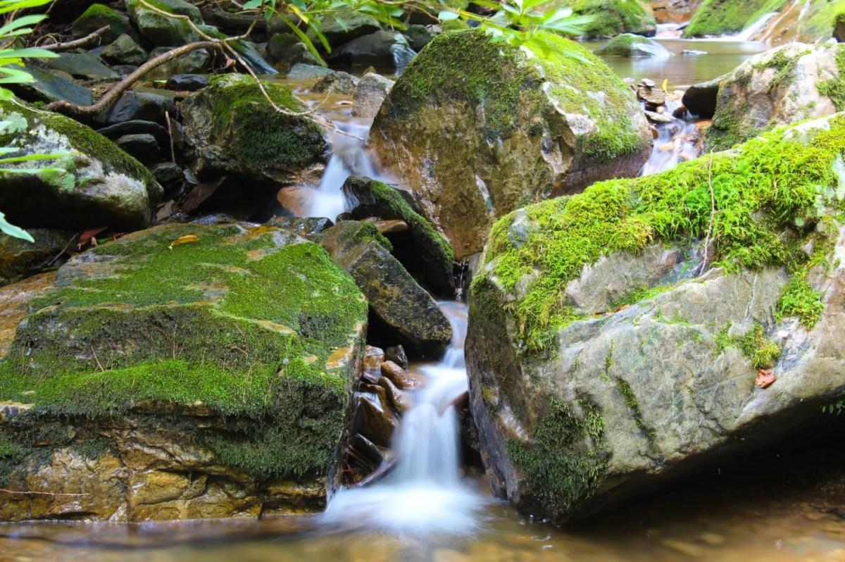 Escape Deep Into the Cherokee National Forest in Tennessee