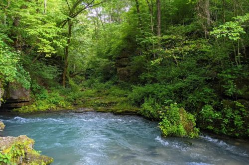 Dig For Quartz At The Unique Haunted Ridge Rocks In Missouri
