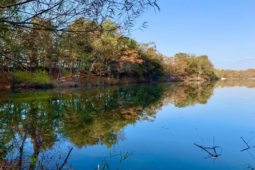 Clinton Road Is The Most Haunted Street In New Jersey