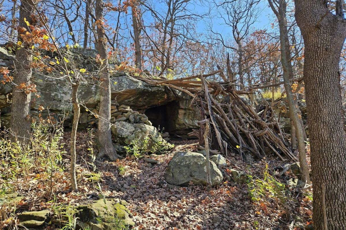 This Is the Most Underrated Old-Growth State Forest in Kansas