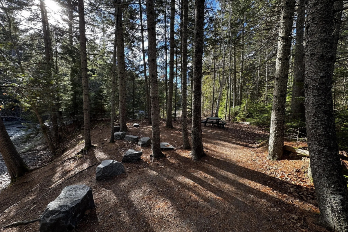 The Cliff Trail In Harpswell Is the Best Forest Hike in Maine