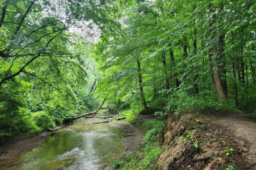 The 10 Very Best Flower Fields In Indiana For Wildflowers