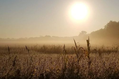 4 Legends Of Kansas Cryptids That Might Be Lurking Now