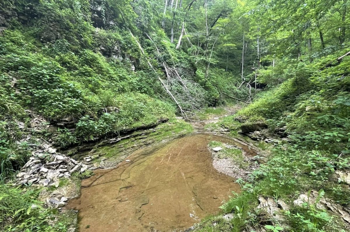 This Is Iowa’s Most Breathtaking State Forest