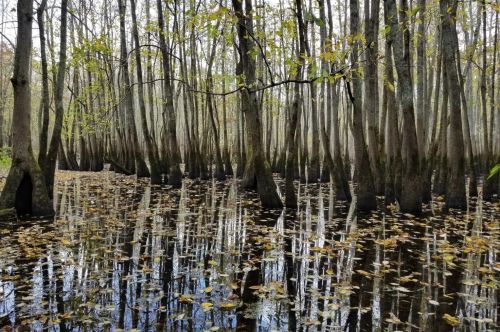 A Day Trip To Genoa, Illinois Is A Breath Of Fresh Air