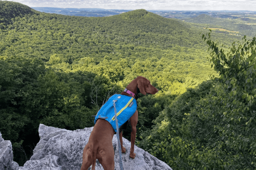 Witness: Movie Filming Locations In Pennsylvania