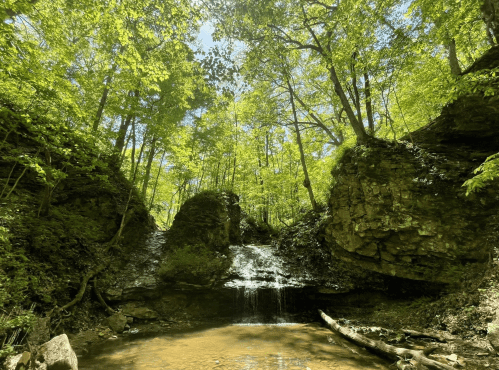 Best Waterfalls in Indiana: 12 Local Favorites to Explore