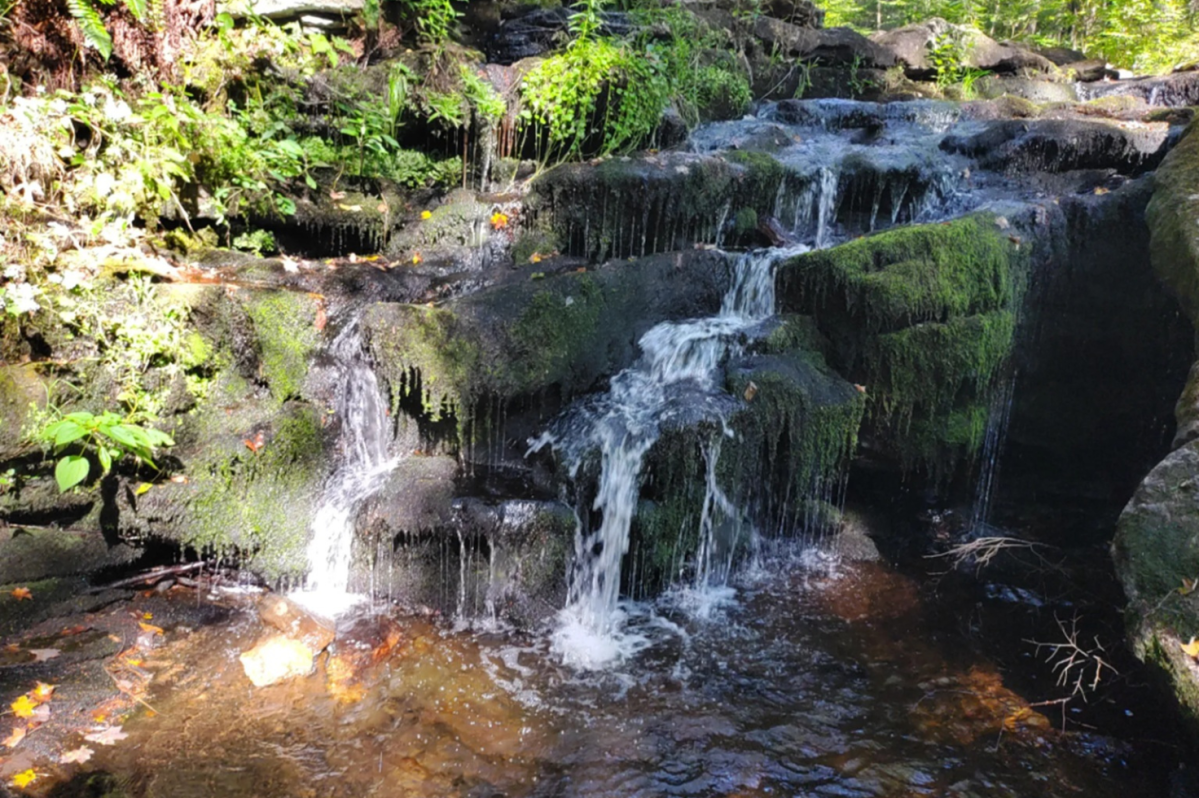 Salmon River State Forest: Natural Gem in Connecticut