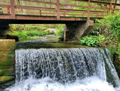 Best Waterfalls in Kentucky: 12 Local Favorites & Hidden Gems