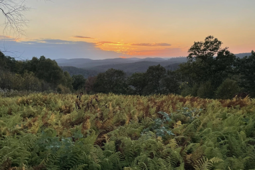 Witness: Movie Filming Locations In Pennsylvania