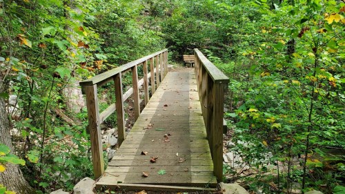 Monte Sano Preserve: The Best Spring Alabama Activity