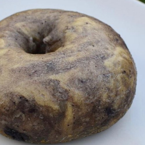 The Best Everything Bagel in Ohio? You’ll Find It in Yellow Springs.
