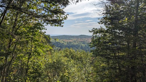 Minnesota's Most Underrated Old-Growth Forest You Need to Visit